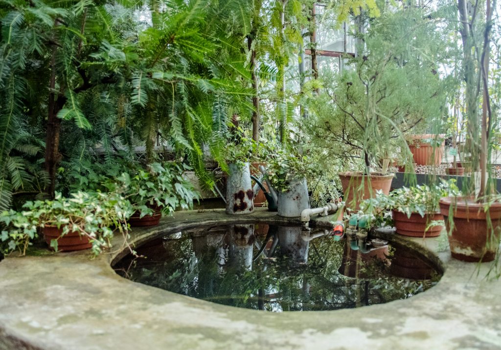 The Best Pop Up Pond For Your Home | Property Spoon